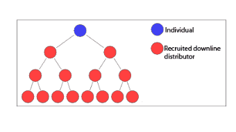 Prime My Body MLM Scheme – The Latest Online Scams and How to Avoid Them